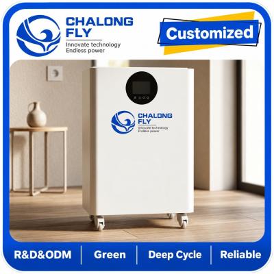 China Mobile All-in-One LiFePO4 Home Energy Storage System with Integrated Solar Inverter for Residential Backup Power for sale