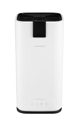 Cina Deumidificatore di controllo R290 di Smart 12L/Day Wifi APP con telecomando in vendita