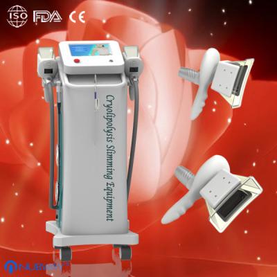 China Pulse Cryolipolysis Slimming Machine / Beauty Slimming Machine For Home Use for sale