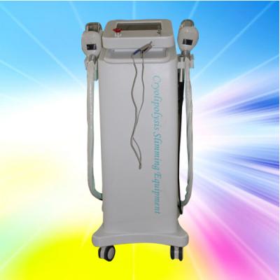 China Vacuum Cryolipolysis Slimming Machine / Fat Freeze Equipment With OEM and ODM for sale