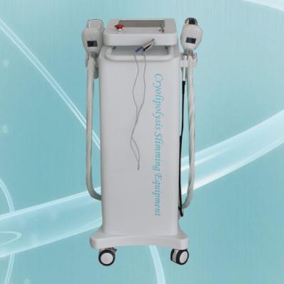 China Freeze Cryolipolysis Slimming Machine With Touch Color Screen For Spa for sale