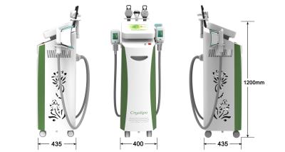 China Best 5 handles cryolipolysis body slimming beauty machine for clinic in advance for sale