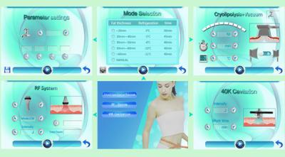 China Big sale! My favorite 5 handles cryolipolysis body slimming beauty equipment for salon for sale