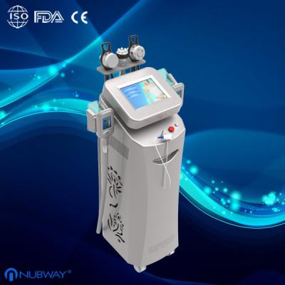 China Hotest cryolipolysis body shaping and cool sculpting device for losing weight for sale