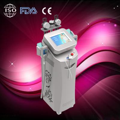 China To be thiner! Hotest cryolipolysis body shape cool sculpting machine for clinic for sale