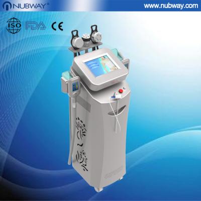 China To be thiner! Latest cryolipolysis body shape cool sculpting machine for clinic for sale