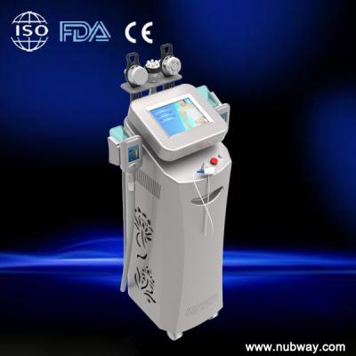 China 2014 hot factory sale!!!best cryolipolysis equipment for sale