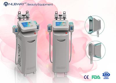 China Best 5 handles cryolipolysis body slimming beauty machine for clinic in advance for sale