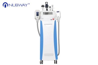 China High quality vacuum cavitation system lipo cryo fat freezing cryolipolysis device for home use for sale