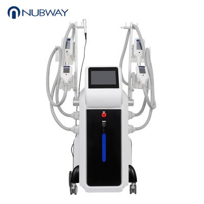 China CE / FDA approved multifunction whole body fat freezing cryolipolysis body slimming machine for beauty salon for sale