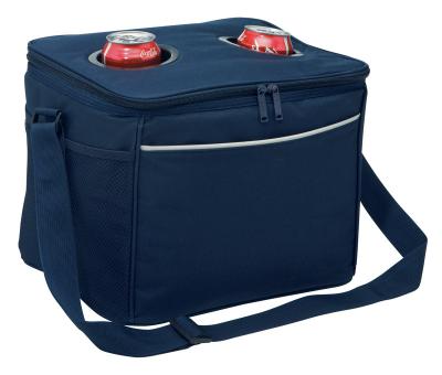China Blue Cooler bag with Radio for sale