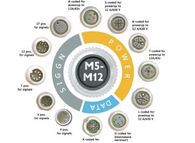 中国 M12シリーズ 円形ワイヤ接続ソケット 12ピン 後部スクリューパネルのマウント 販売のため