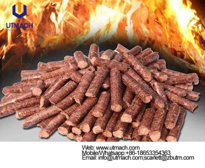 China Biomass Fuel Pellet Line for sale