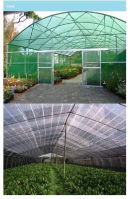 China apple tree anti hail net for sale