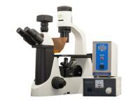 China LED Trinocular Inverted Fluorescence Microscope with CCD color camera for sale