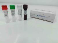 China Real Time Monkeypox PCR Test Kit With Positive / Negative Control for sale