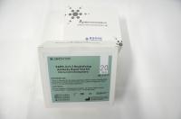 China 95% Accuracy NAbs Neutralizing Antibody Test Kit Immunochromatography for sale