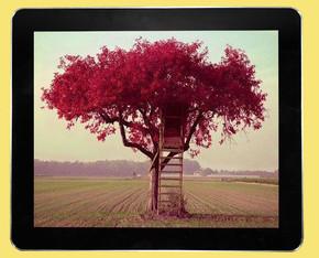 China Shockproof 26" 12" 46" Wall Mount LCD Display Digital Signage Full HD 1080P , Ipad style for sale