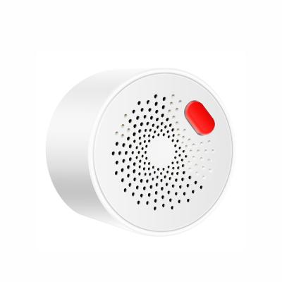 China LGP ermitteln Gas-Detektor AC85V WiFi für Küche zu verkaufen