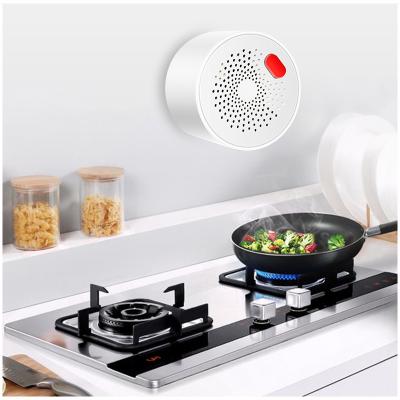 China LGP ermitteln Gas-Detektor AC85V WiFi für Küche zu verkaufen
