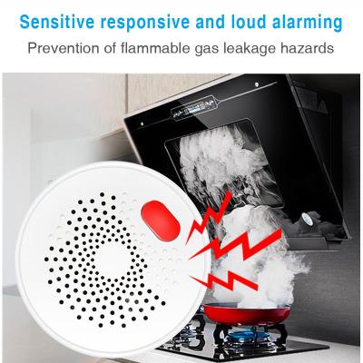 China Detector de gas teledirigido de Tuya ROHS WiFi del teléfono en venta