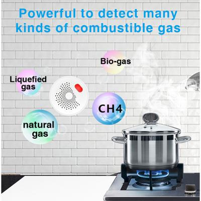 China Detector de gas teledirigido de Tuya ROHS WiFi del teléfono en venta