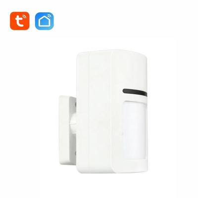 Cina 802.11b fissato al muro Kaizen WiFi PIR Motion Sensor in vendita
