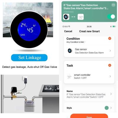 China Detector de gas de Kaizen 85dB WiFi para la salida del etano del metano en venta