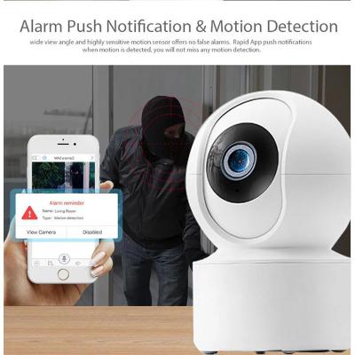 Cina videosorveglianze 1080P HD TCP della lente 1.5W WiFi di 3.6mm in vendita