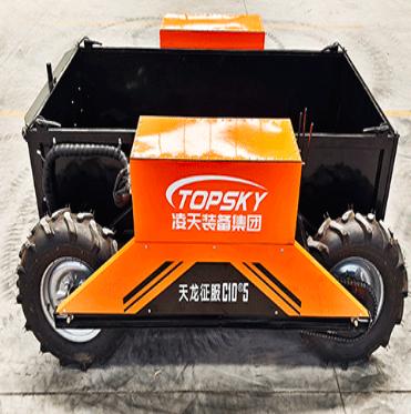 China 200W Rated Power Ground Debris Search Robot with 320*240 Display Resolution and 500m Wireless Control Distance for sale