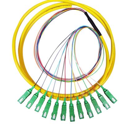 Cina 12 treccia di fibra ottica dello Sc 3mm del centro, singolo modo/treccia mista in vendita