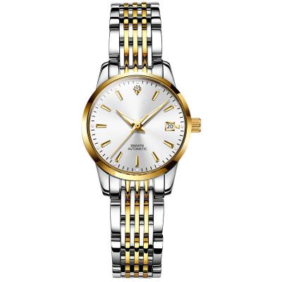 China Exemplo de Diamond Watch Interchangeable Strap Alloy das mulheres mecânicas à venda