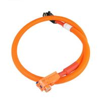 China 2pin Electric Vehicle Cable Wiring Harness Cable For Modification for sale