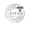 Chongqing Leitan Technology Co., Ltd.
