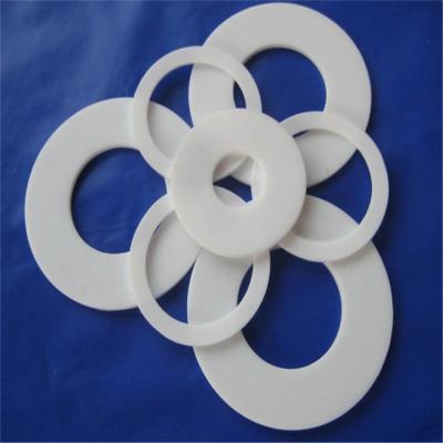 China PVDF gasket, pvdf Sealing ring for sale