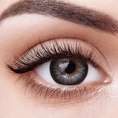 Cina La lente di occhio nera naturale dei contatti dell'OEM ha colorato annualmente le lenti a contatto cosmetiche in vendita