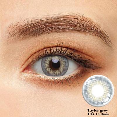 Cina Cosmetico annuale naturale dell'OEM Grey Color Contact Eye Lens per maschio e femminile in vendita