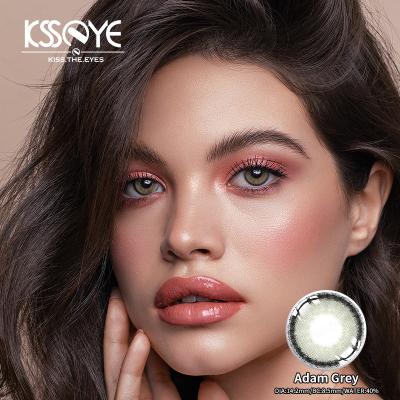 Cina Lenti di contatti naturali mistiche di colore dell'OEM di Grey Contact Lens in vendita