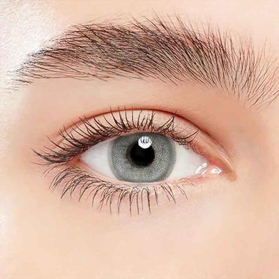 Cina Lente di colore degli occhi dell'etichetta privata di Gray Colored Contact Lenses Yearly in vendita