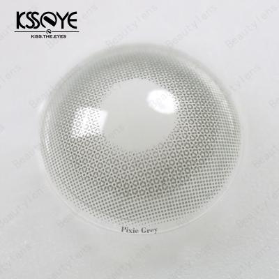 Cina Lente di colore degli occhi dell'etichetta privata di Gray Colored Contact Lenses Yearly in vendita