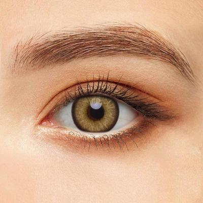 China De Contactlenscirkel Jaarlijks Himalayagebergte Grey Brown Blue van de Tricolor Natuurlijke Kleur Te koop