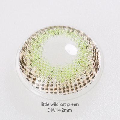 Cina Pochi contatti blu di prescrizione delle lenti selvagge di Cat Brown Green Amber Contact in vendita