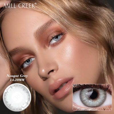 Cina Lenti toriche Hazel Colored Contacts puro di celebrazione naturale di colore solido in vendita