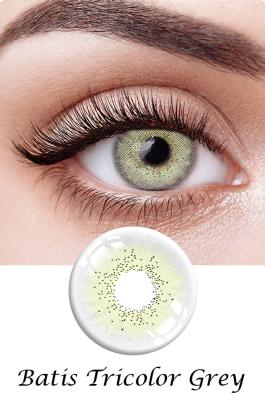 Cina verde colorato mensile eliminabile Grey Brown Blue della lente di 12 contatti di 14.2mm in vendita
