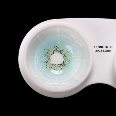 Cina verde colorato mensile eliminabile Grey Brown Blue della lente di 12 contatti di 14.2mm in vendita