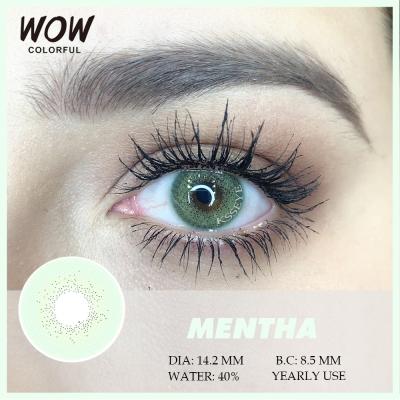 Cina Multi cosmetico morbido annuale delle lenti a contatto dell'OEM colorato per bellezza degli occhi in vendita
