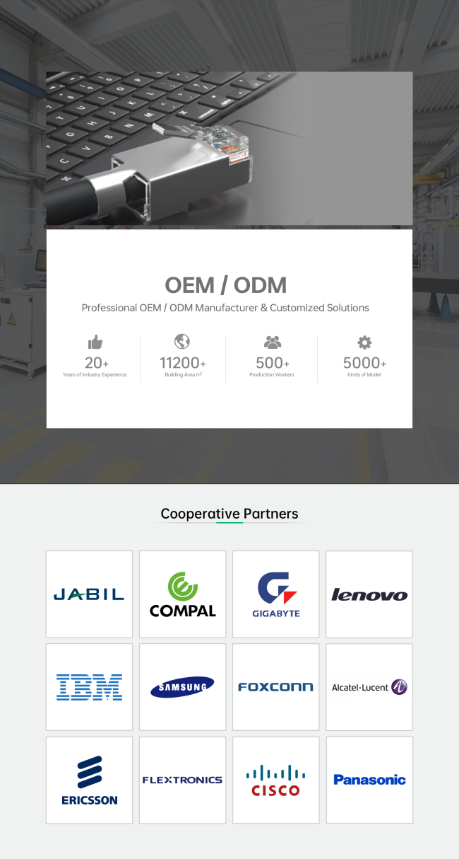 Detailed view of RJ45 connector contacts and housing