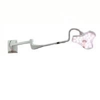 China Hospital Shadowless Operating Lamp Wall Examination Surgical Light for sale