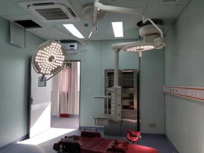 Cina Doppie luci di teatro cape di operazione di Lux Led Surgery Light 700mm della testa 160000 in vendita
