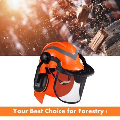 Cina CE EN397 che lavora alle attrezzature di sicurezza del posto di lavoro dell'OEM del casco di altezza in vendita